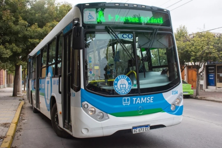 TAMSE confirmó que suspenderá el servicio de trolebuses y será cubierto ...
